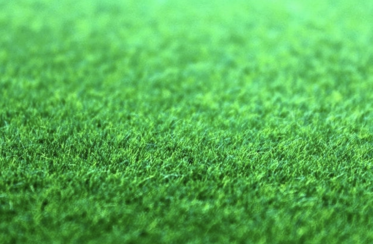Synthetic Grass DFW: Debunking Myths About Artificial Turf