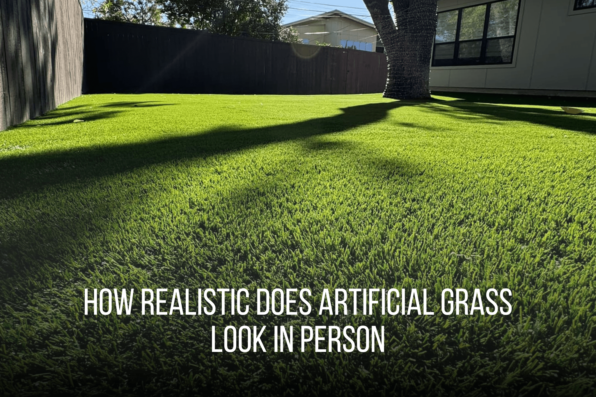 Does Artificial Grass Look Real? Get the Best Look in DFW
